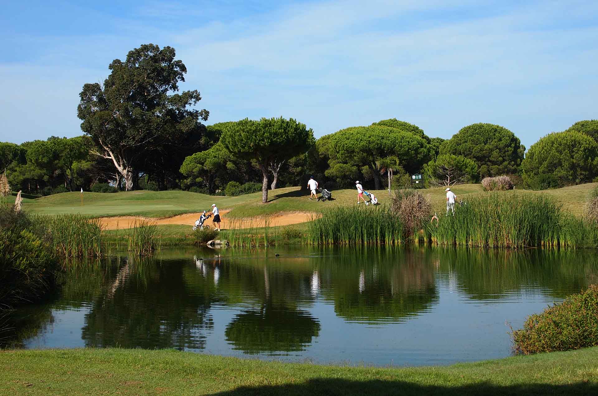Sancti Perti Hills llegó a la gran final - Cádiz es Golf. Campos de ...